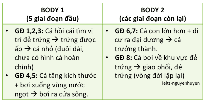 Bài mẫu IELTS Writing Task 1 Process - Life cycle of a salmon - IELTS ...
